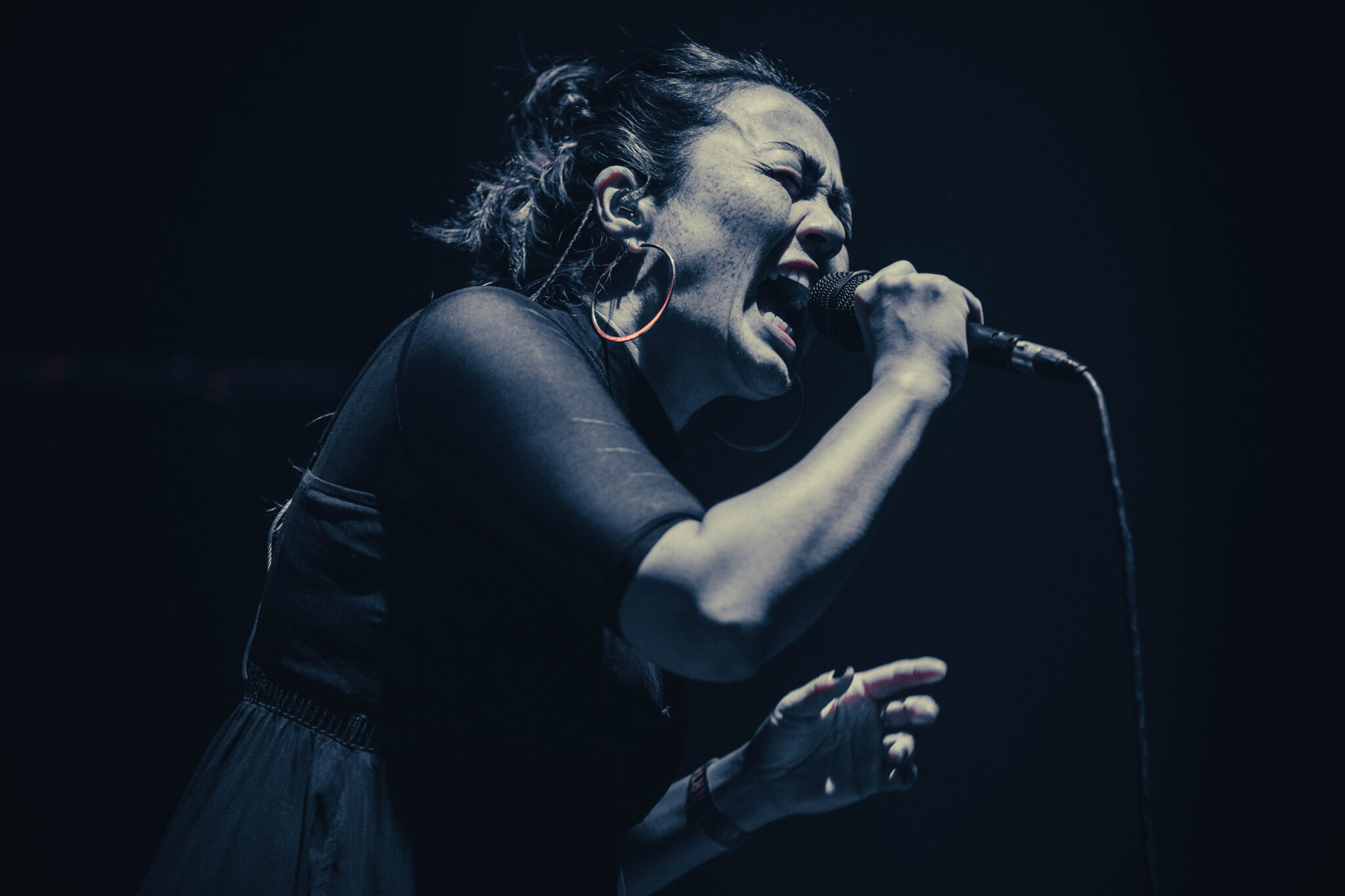 Bôa en Chile : Un concierto increíble y surrealista. – Darknoise Magazine